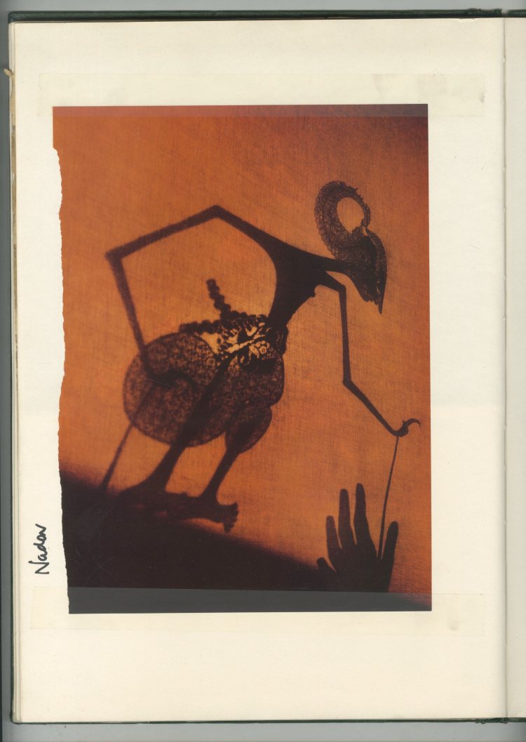 GRREN BOOKS: Photography 1. | STUFF FROM THE LOFT.