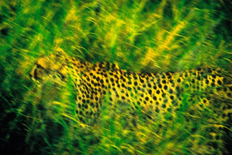 Hands Up Who’s Heard Of Pete Turner? | STUFF FROM THE LOFT.